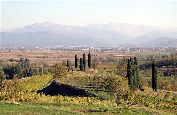 Buttrio Entroterra Friulano Friuli Venezia Giulia - Italy traveller Guide